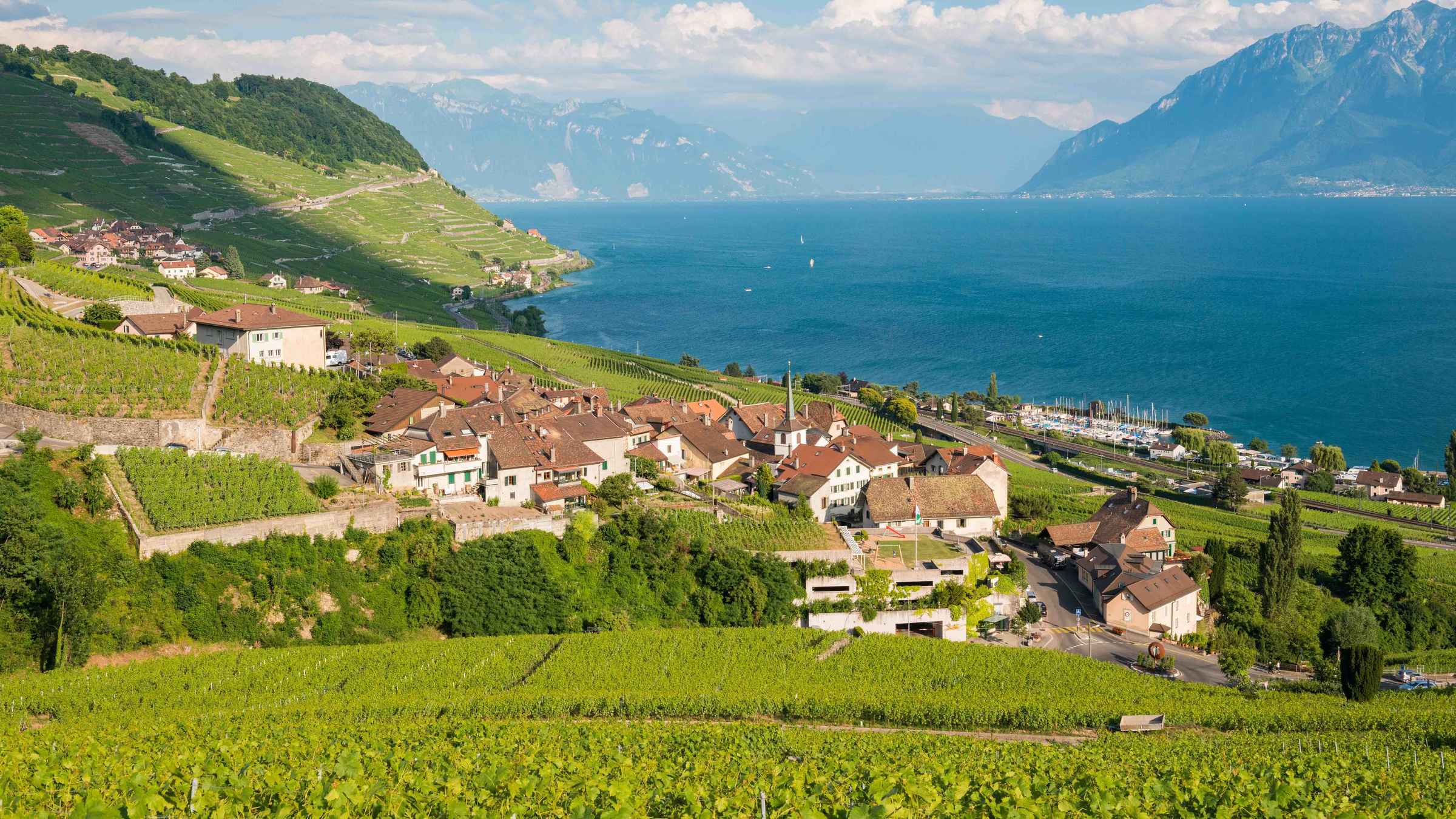 Les Epesses 2021: Top 10 Tours & Activities (with Photos) - Things to ...
