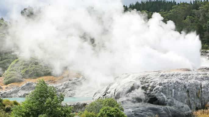 Te Puia, Rotorua - Book Tickets & Tours | GetYourGuide.com