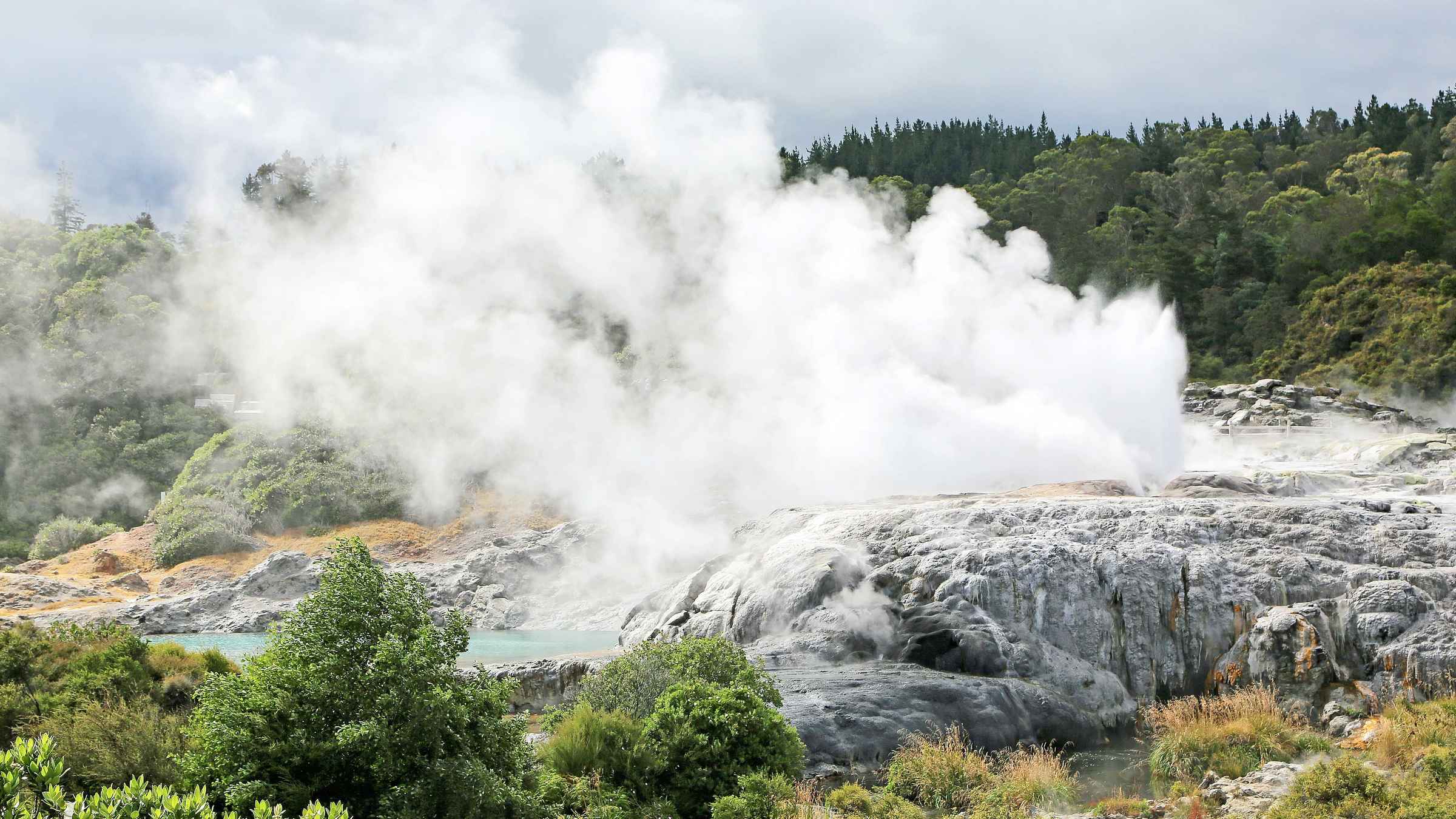 Te Puia, Rotorua - Book Tickets & Tours | GetYourGuide