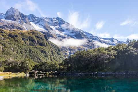 The BEST Nelson, New Zealand Tours and Excursions in 2026 - FREE ...