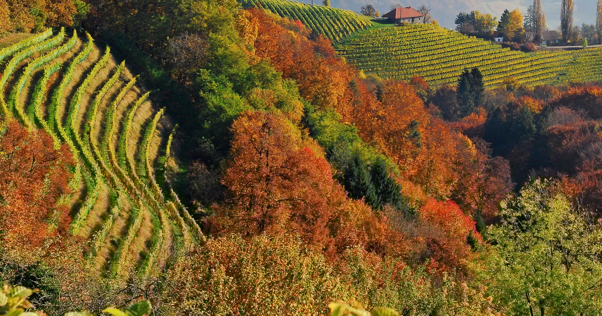 Steiermark 2020: Top 10 Touren & Aktivitäten (mit Fotos) - Erlebnisse ...