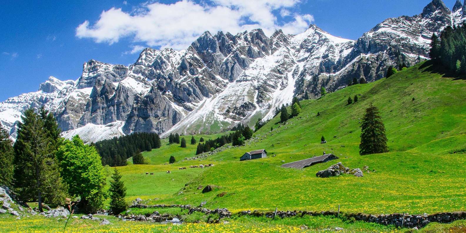 Book Things To Do, Attractions, and Tours | GetYourGuide