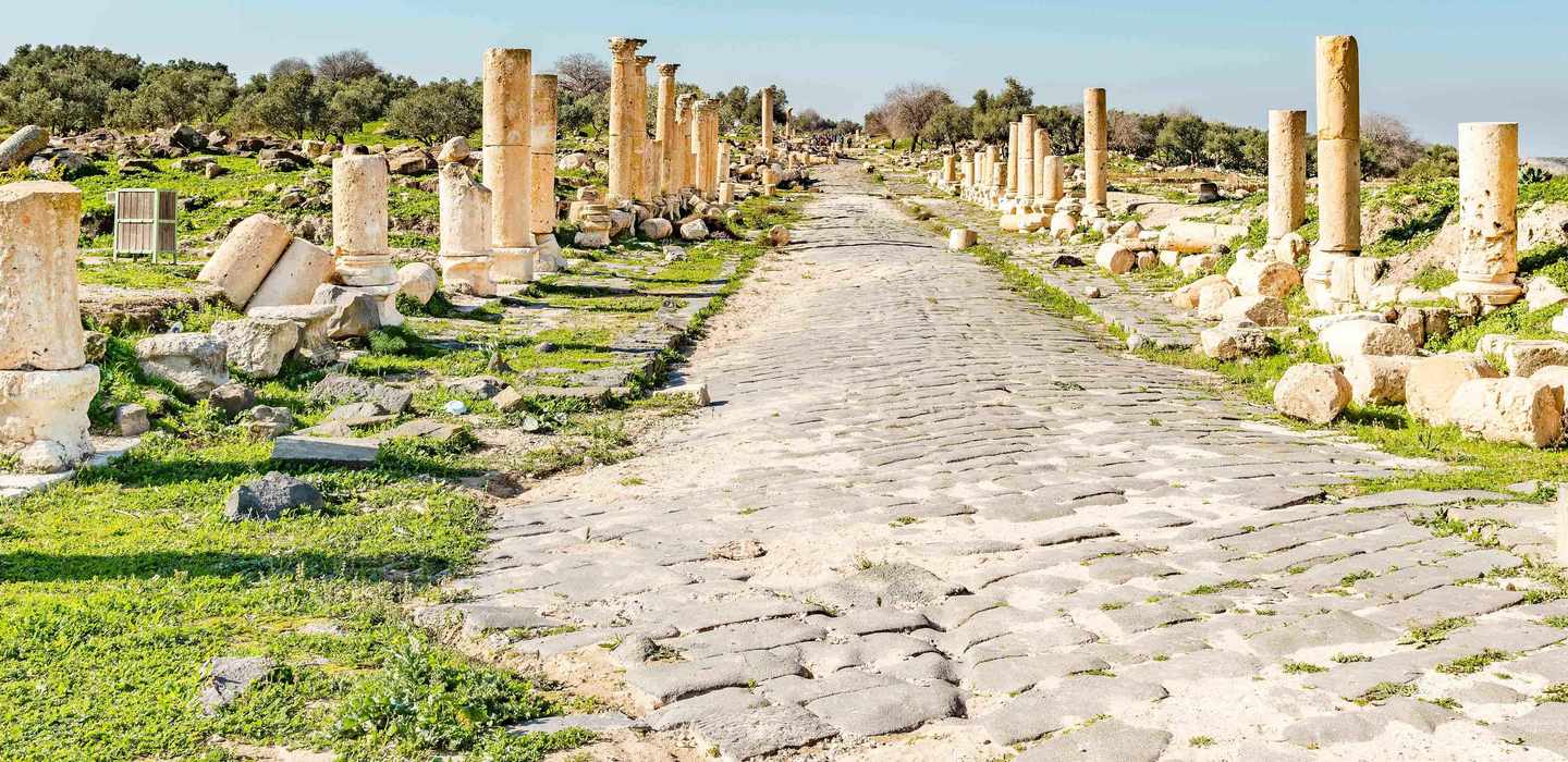 The BEST Umm Qais Activities 2024 - FREE Cancellation | GetYourGuide