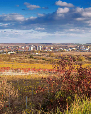 Beste attraksjoner og ting å gjøre i Bratislava regionen 2024 - GRATIS avbestilling | GetYourGuide