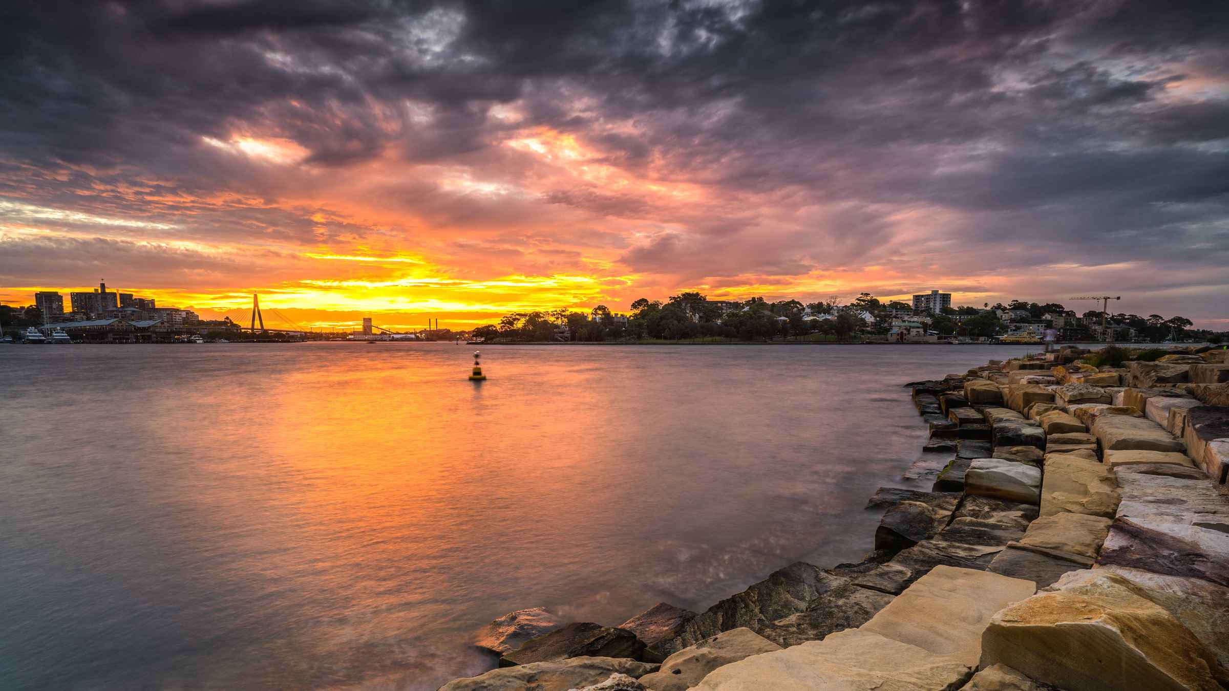 Barangaroo Reserve, Sydney - Book Tickets & Tours | GetYourGuide