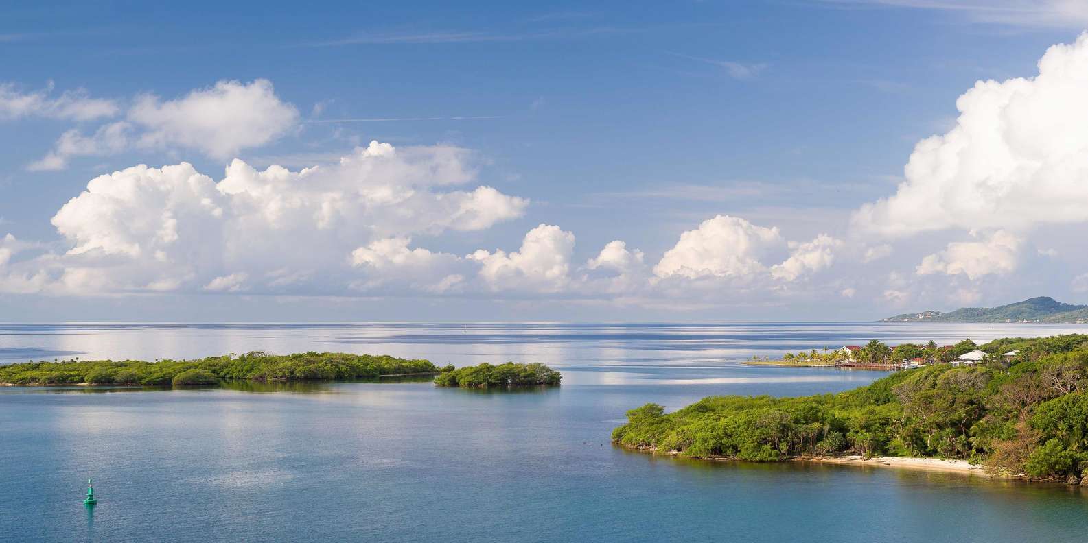 Book Things To Do, Attractions, and Tours | GetYourGuide