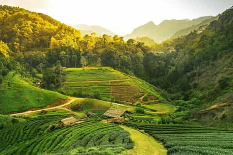 The BEST Assam Tours and Things to Do in 2024 - FREE Cancellation ...