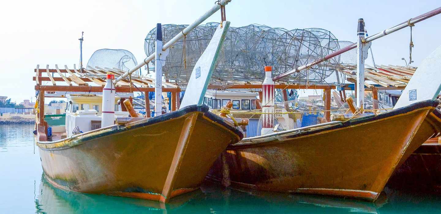 The BEST Al Khor Summer activities 2023 - FREE Cancellation | GetYourGuide