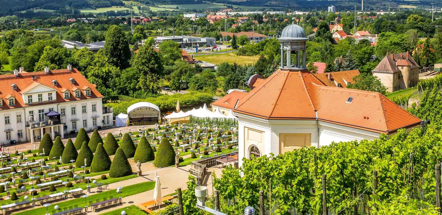 The BEST Radebeul Summer activities 2024 - FREE Cancellation | GetYourGuide