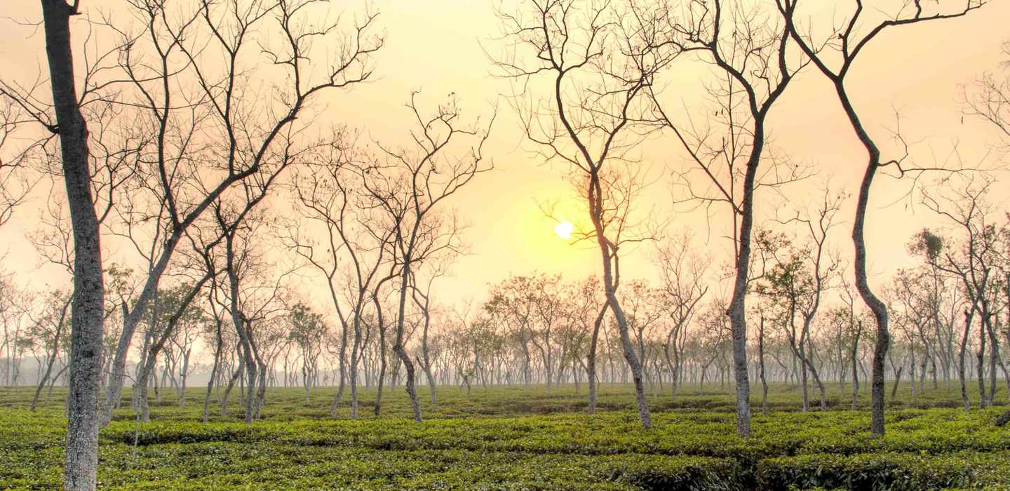 Sreemangal Upaliza Actividades de otoño: lo MEJOR de 2023 - Cancelación ...