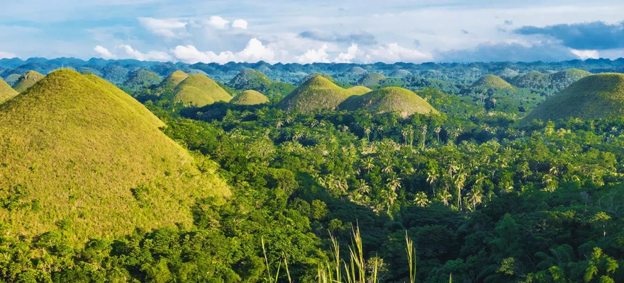 The BEST Bohol Pet-friendly activities 2024 - FREE Cancellation ...