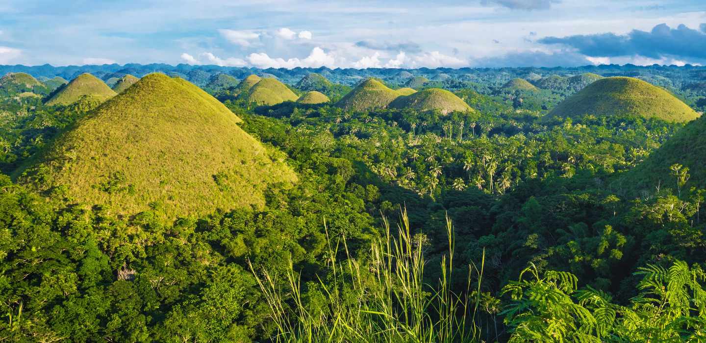 De BESTE Safari's & wildlife-activiteiten in Bohol van 2024 - GRATIS ...