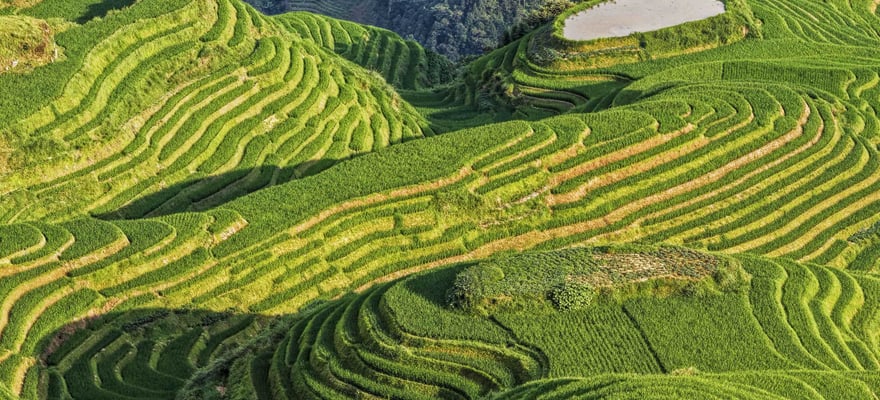 Risaie a terrazza di Longsheng tickets - Longji - Prenotazione ...