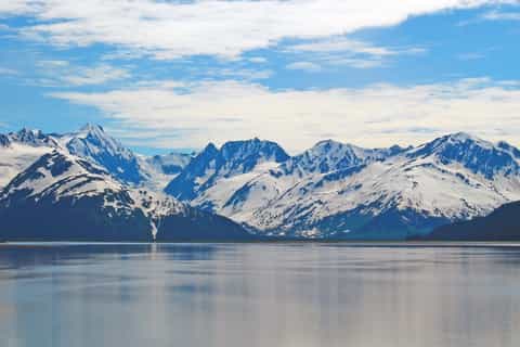 The best Girdwood Dog sledding & husky tours 2026 - Free cancellation ...