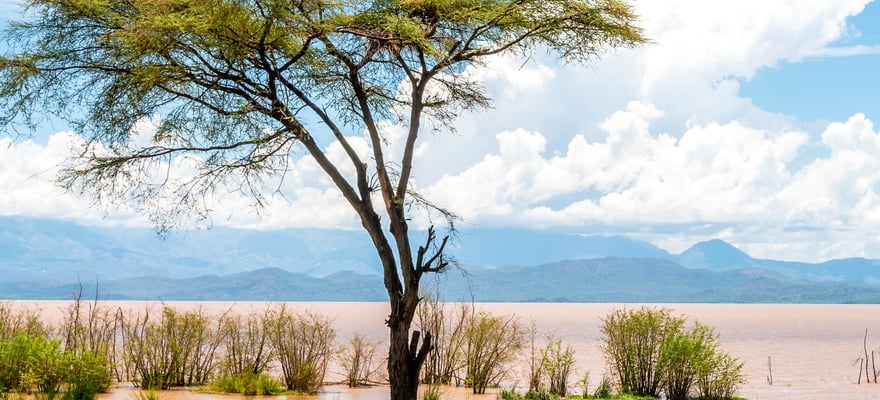 The BEST Arba Minch Tours and Things to Do in 2023 - FREE Cancellation ...