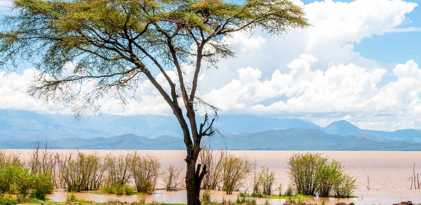 The BEST Arba Minch Nature & adventure 2024 - FREE Cancellation ...