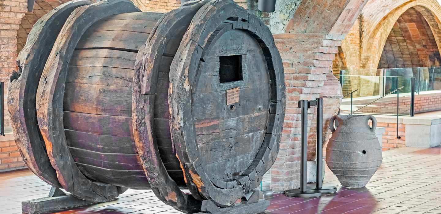 Day Trips from Sant Sadurní d'Anoia | GetYourGuide