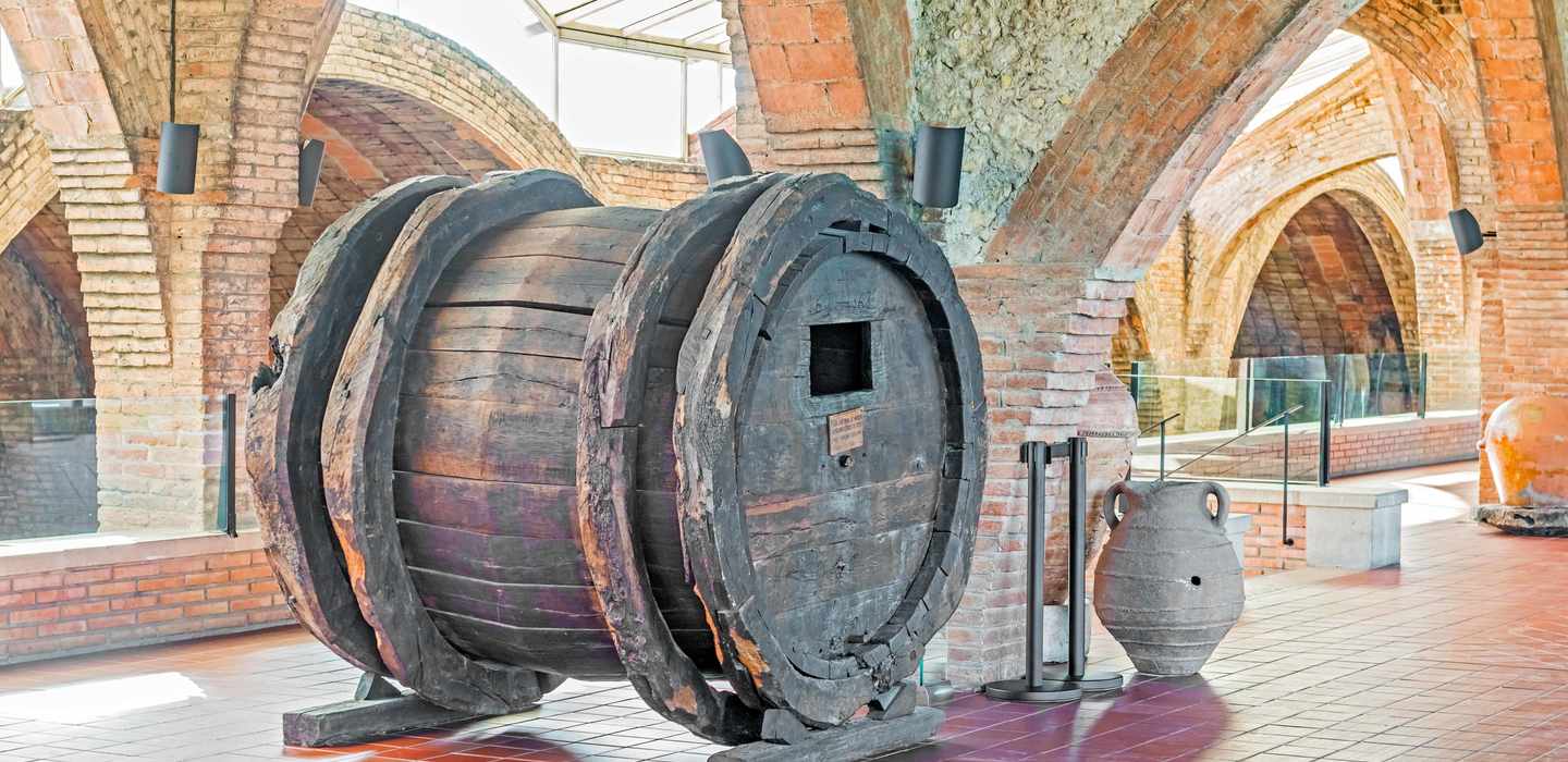 Day Trips from Sant Sadurní d'Anoia | GetYourGuide