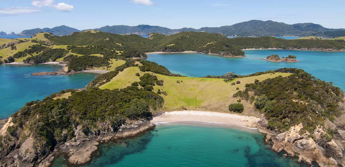 The BEST Bay of Islands Summer activities 2023 - FREE Cancellation ...