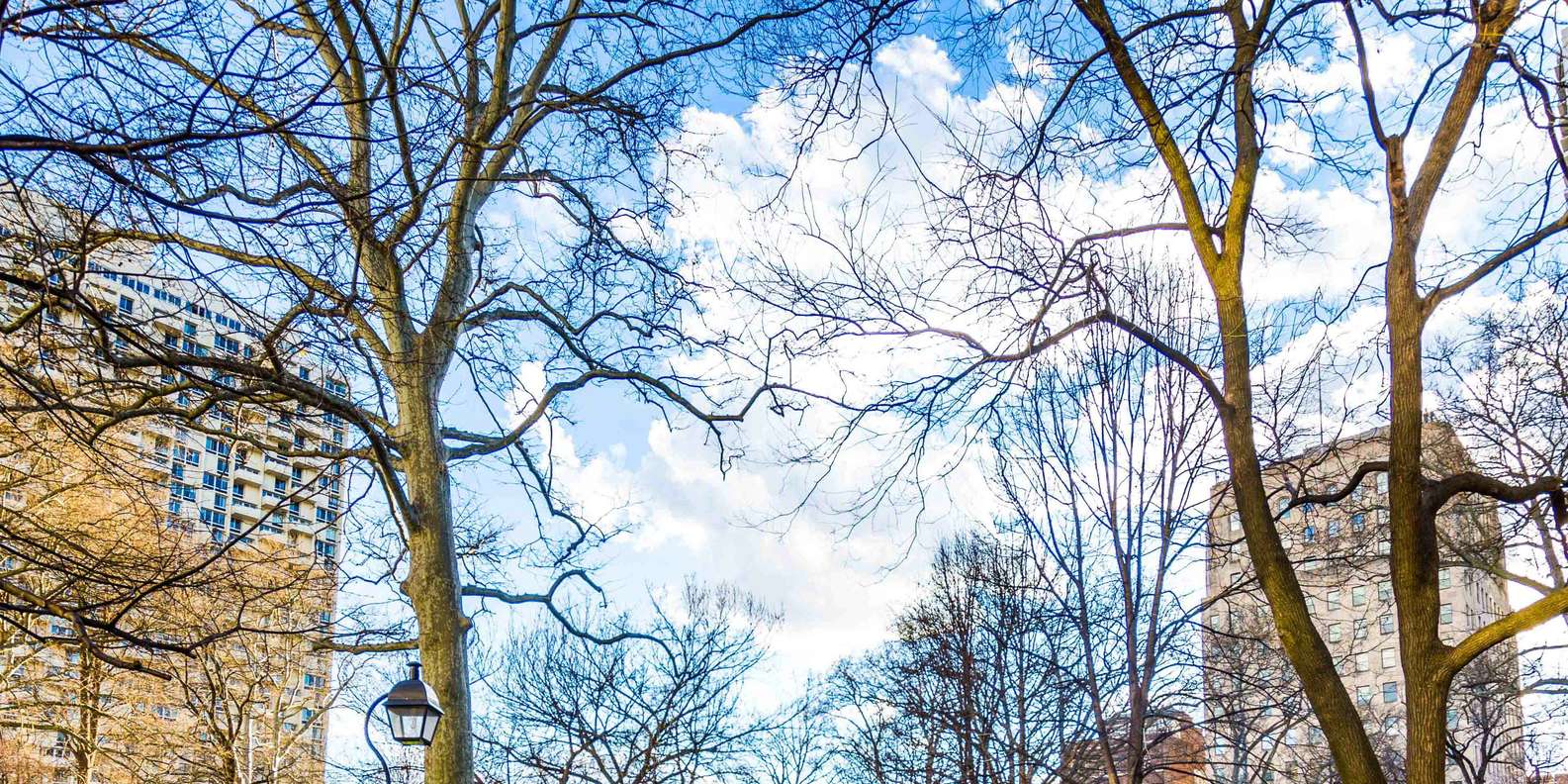 The BEST Washington Square Park, Philadelphia Summer activities 2023 ...