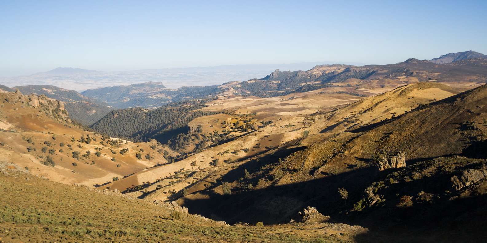 Bale Mountains National Park, Oromia Region - Book Tickets & Tours ...