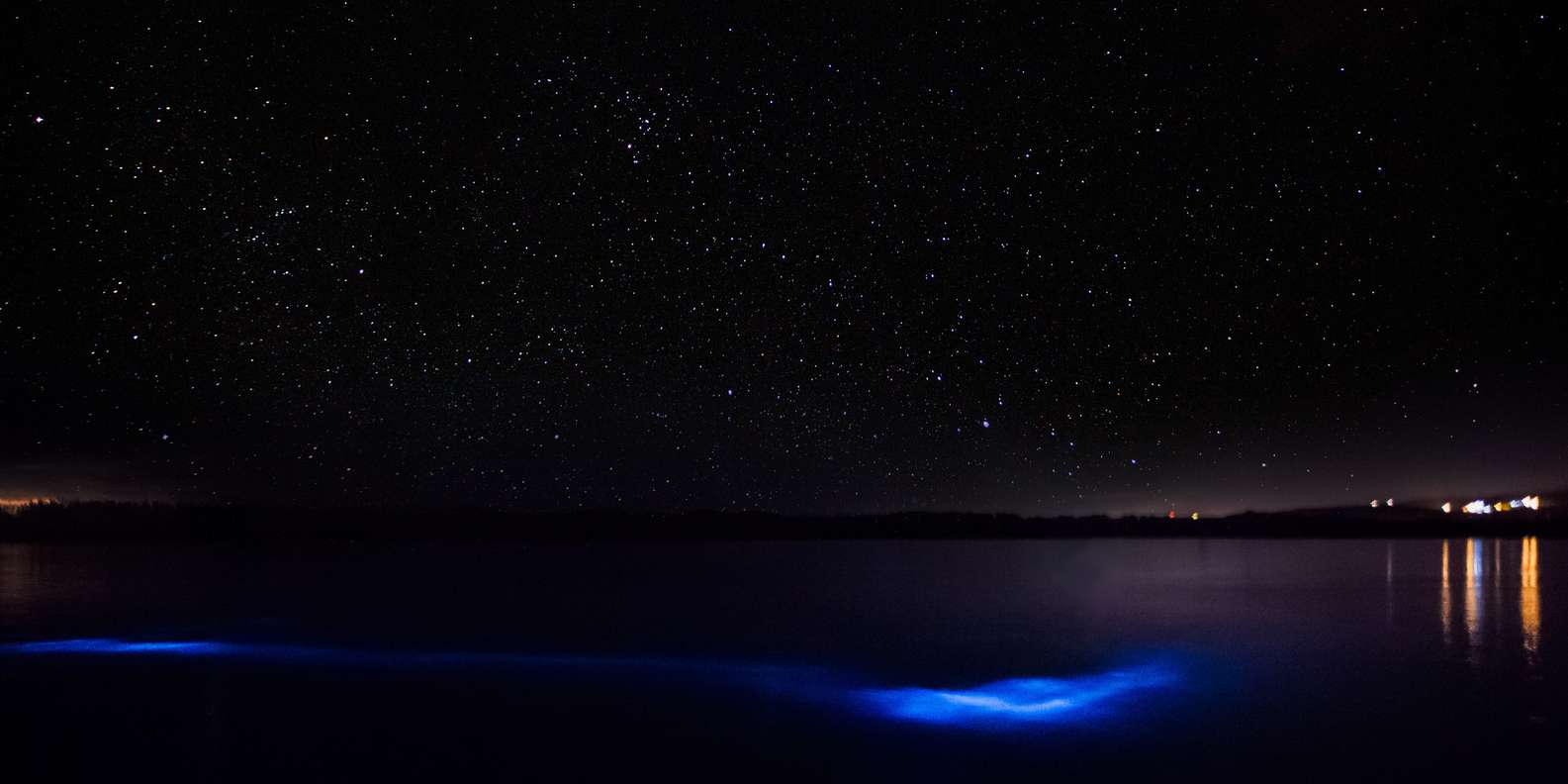 The BEST Luminous Lagoon Night tours 2023 - FREE Cancellation ...