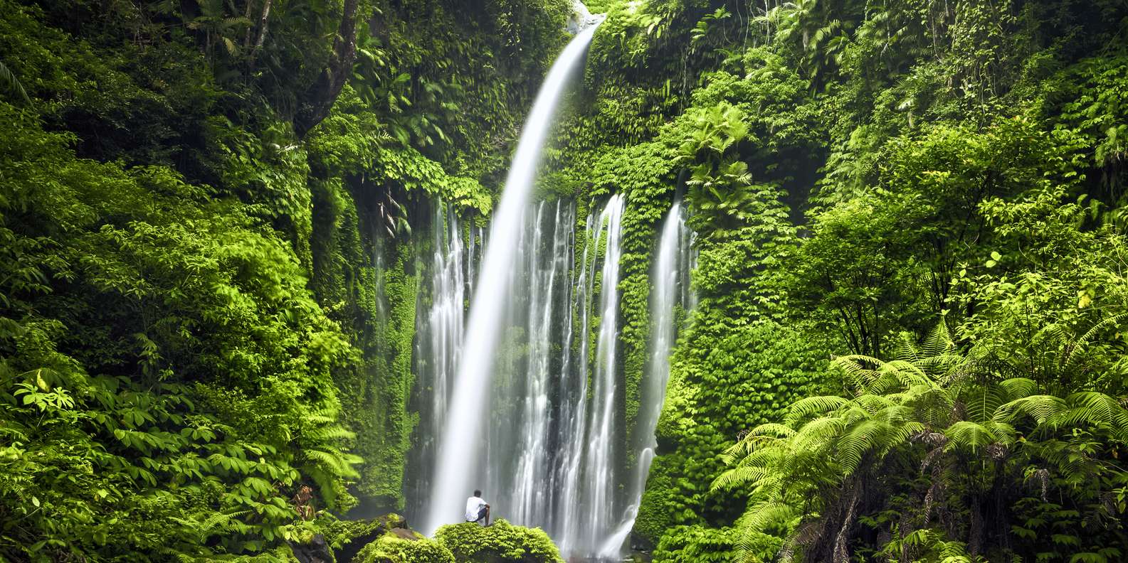 Tiu Kelep Waterfall, Senaru - Book Tickets & Tours | GetYourGuide