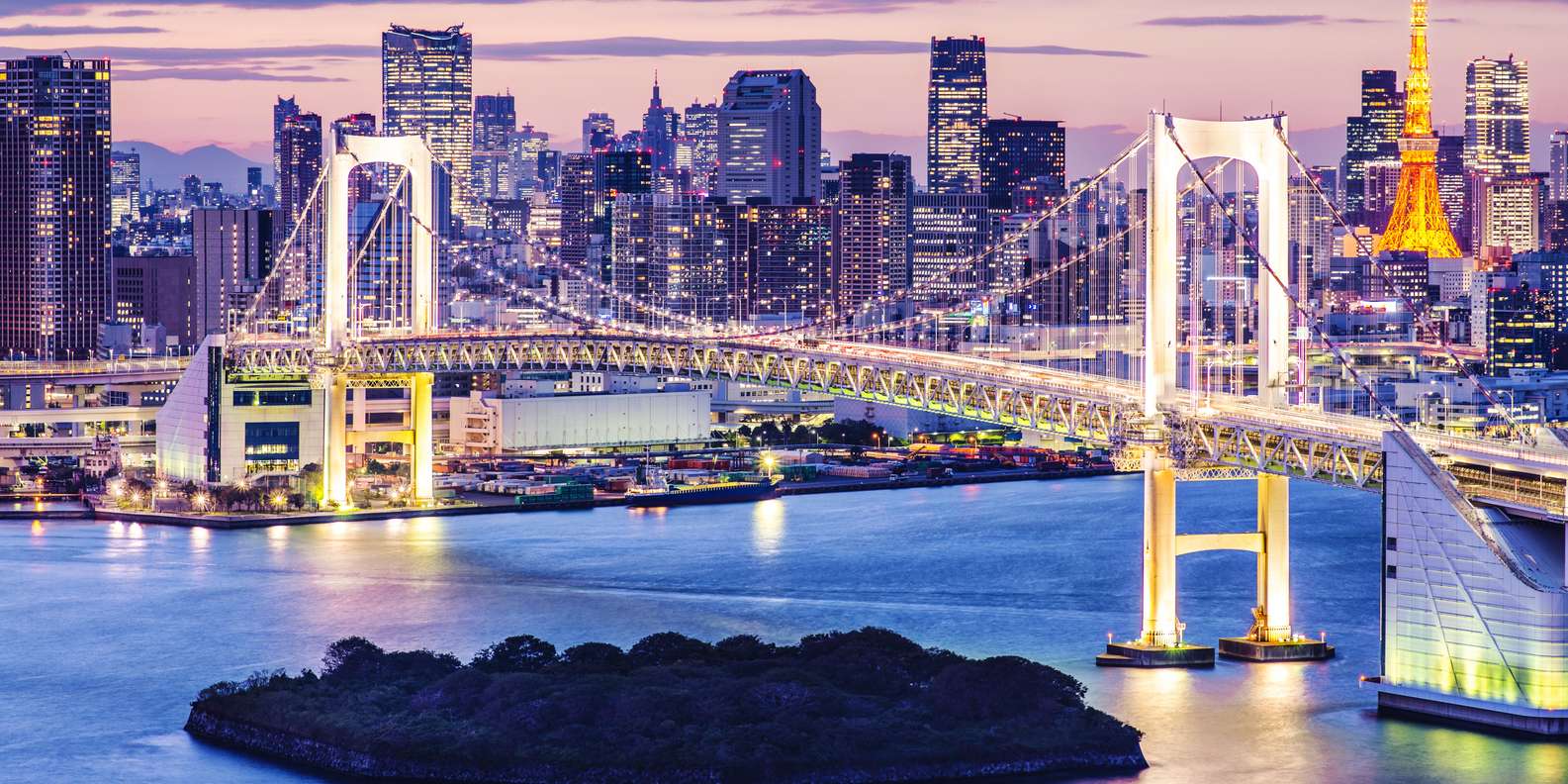 The BEST Tokyo Bay Sightseeing 2023 - FREE Cancellation | GetYourGuide