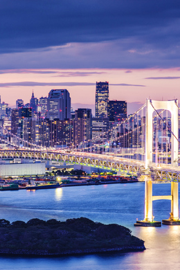 Baia di Tokyo tickets - Tokyo - Prenotazione biglietti | GetYourGuide