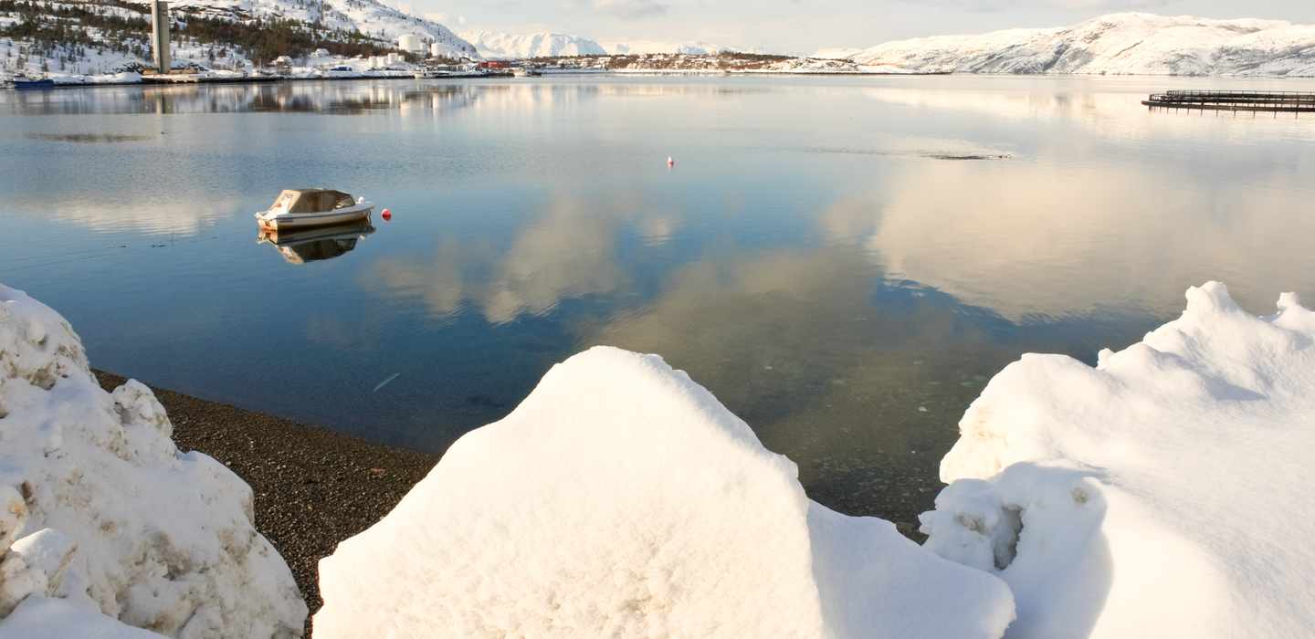 Alta, Norvegia Aurora boreale: il MEGLIO del 2024 - Cancellazione ...