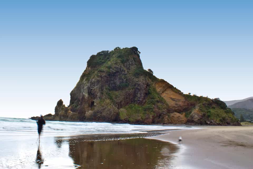 The BEST Piha Tours & Things to Do 2022 - FREE Cancellation | GetYourGuide