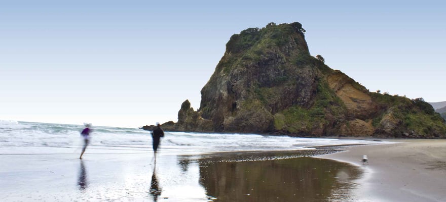 Piha Beach, Piha - Réservez des tickets pour votre visite | GetYourGuide