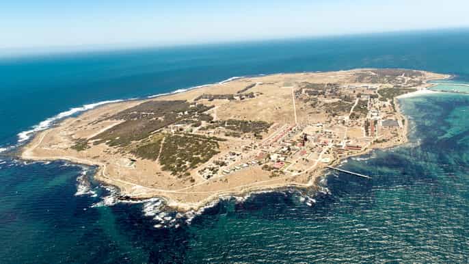Robbeneiland in Kaapstad bezoeken? Nu tickets boeken! | GetYourGuide.com