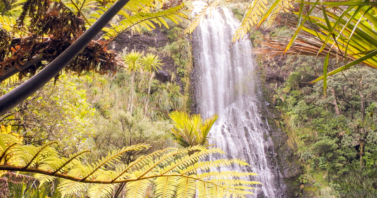 Waitakere Ranges, Auckland - Book Tickets & Tours | GetYourGuide.com