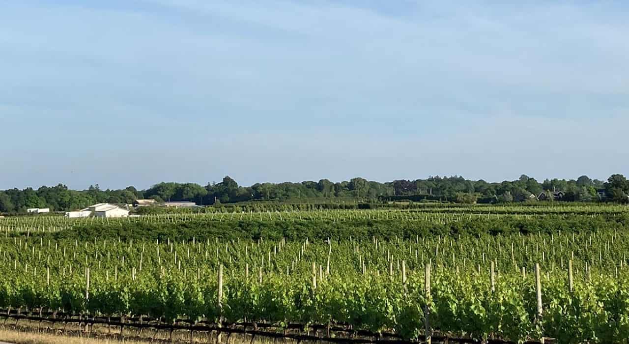 BESTE Sightseeing Mattituck, New York 2024 – KOSTENLOS stornierbar ...