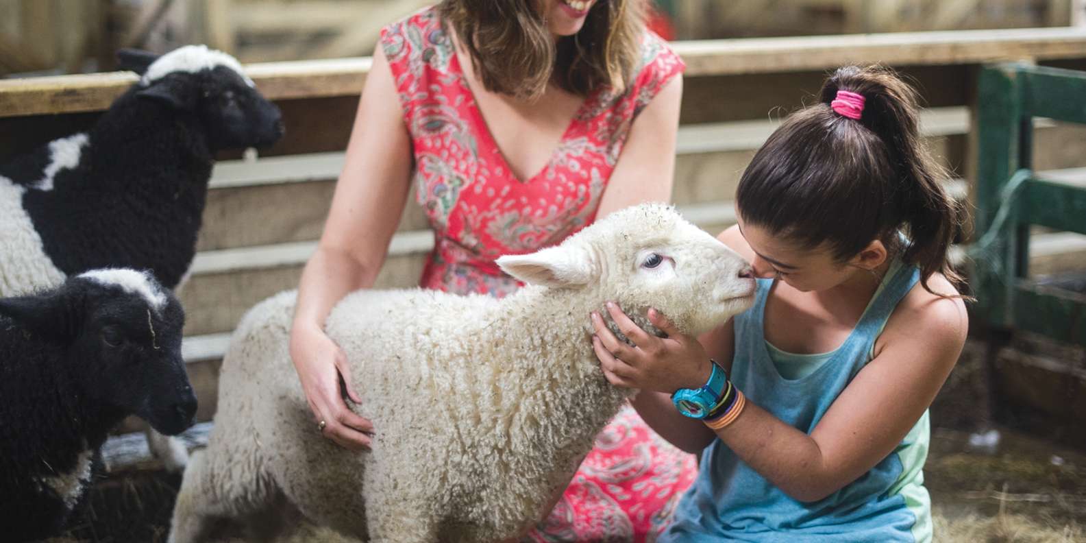 Agrodome, Rotorua - Reserva de entradas y tours | GetYourGuide