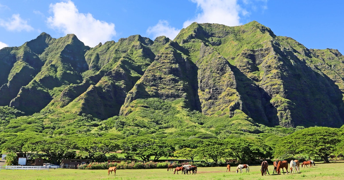 Kualoa Ranch, - Book Tickets & Tours | GetYourGuide.com
