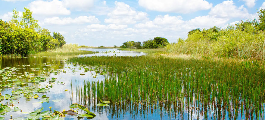 The BEST Everglades City Interactive tours & incentive events 2024 ...