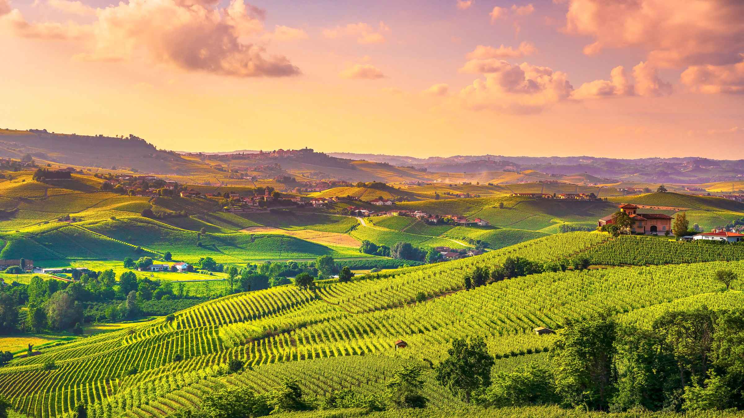 Langhe tickets - Alba - Prenotazione biglietti | GetYourGuide