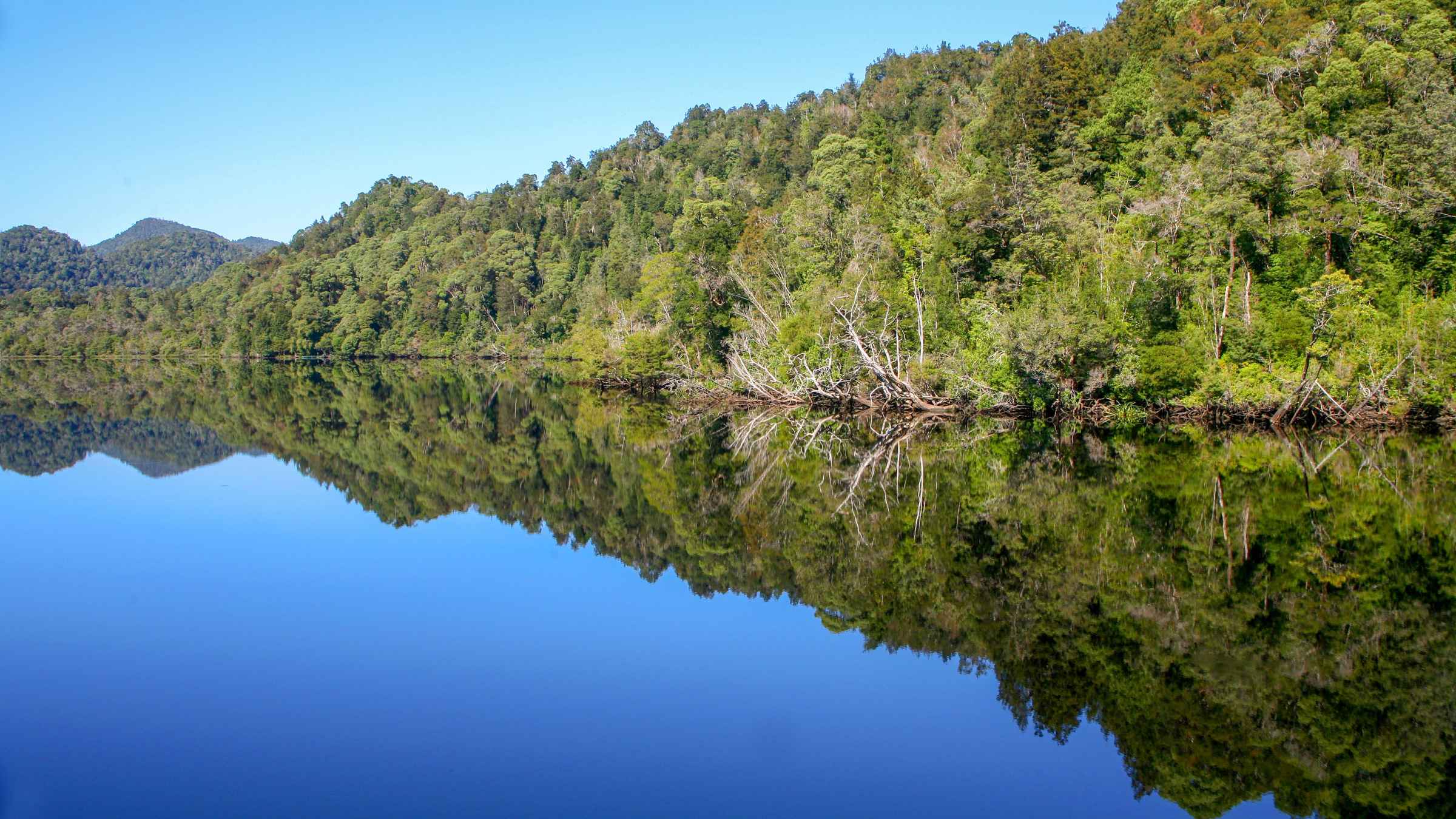 Gordon River, Tasmania - Book Tickets & Tours | GetYourGuide