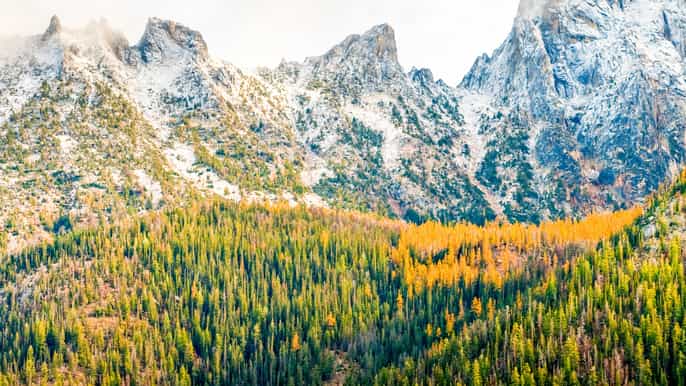 Washington (state) 2021: Top 10 Tours & Activities (with Photos ...