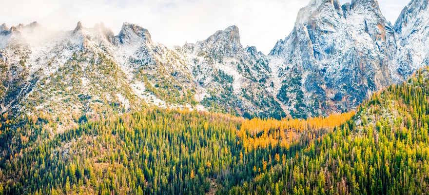 The BEST Washington (State) Spring activities 2024 - FREE Cancellation ...