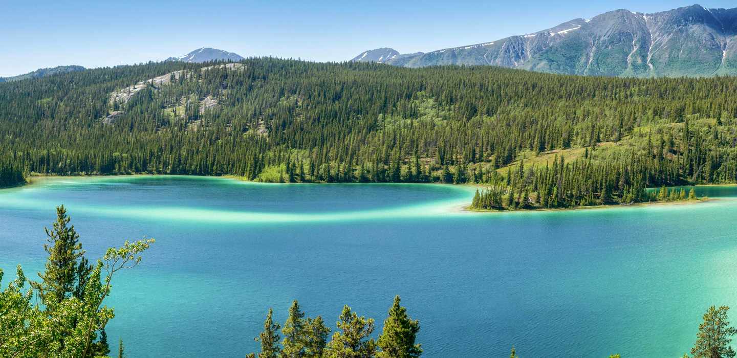 Yukon Parques nacionales: lo MEJOR de 2024 - Cancelación GRATIS ...