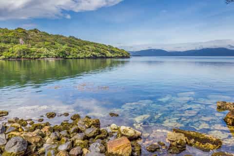 Day Trips from Stewart Island | GetYourGuide