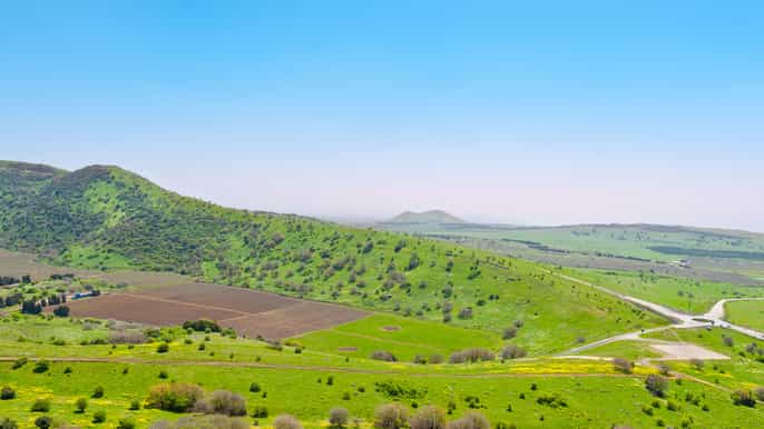 Golan Heights, - Book Tickets & Tours | GetYourGuide.com