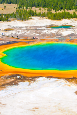 2024年 イエローストーン国立公園のおすすめの名所＆観光スポット - 無料キャンセル | GetYourGuide