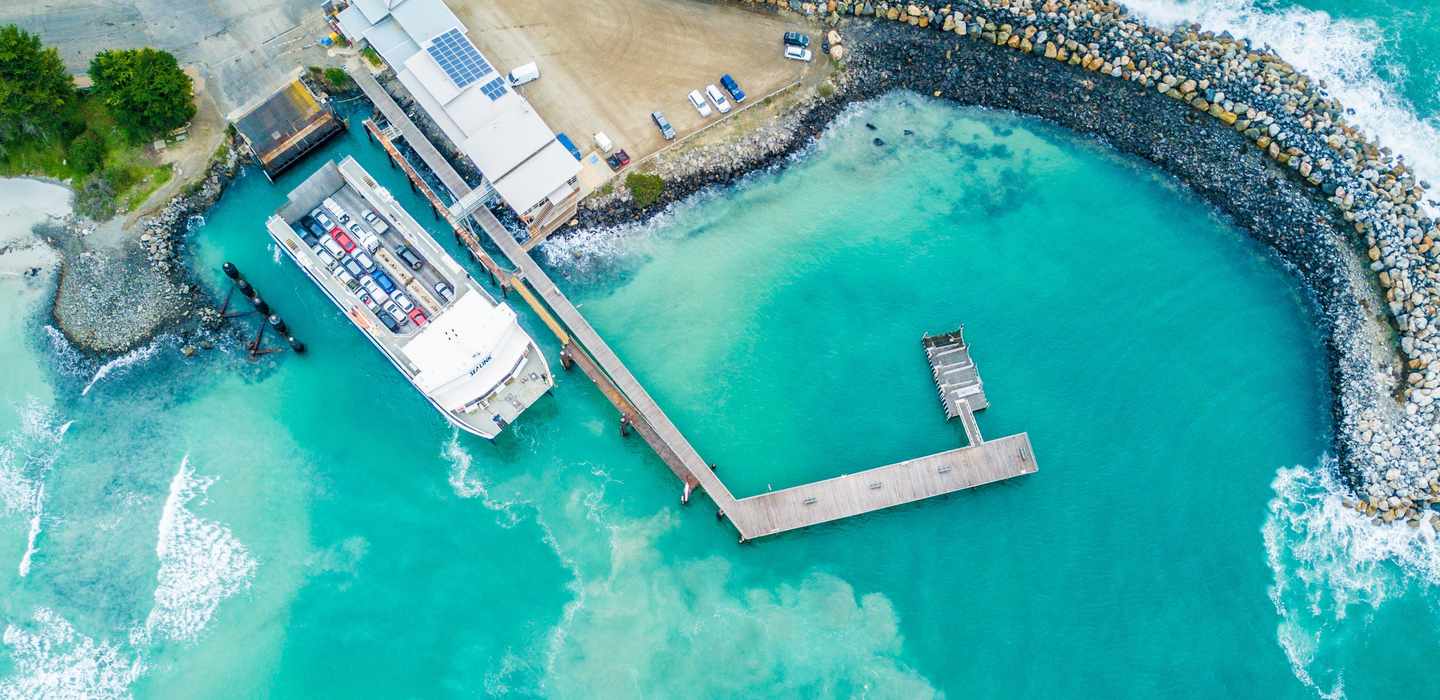 The BEST Kangaroo Island Dolphin & whale watching 2024 - FREE ...