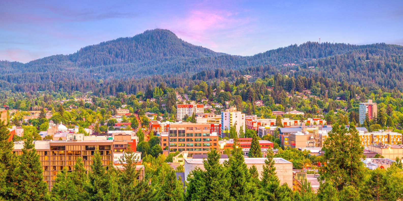 The BEST Eugene Swim with dolphins 2024 - FREE Cancellation | GetYourGuide