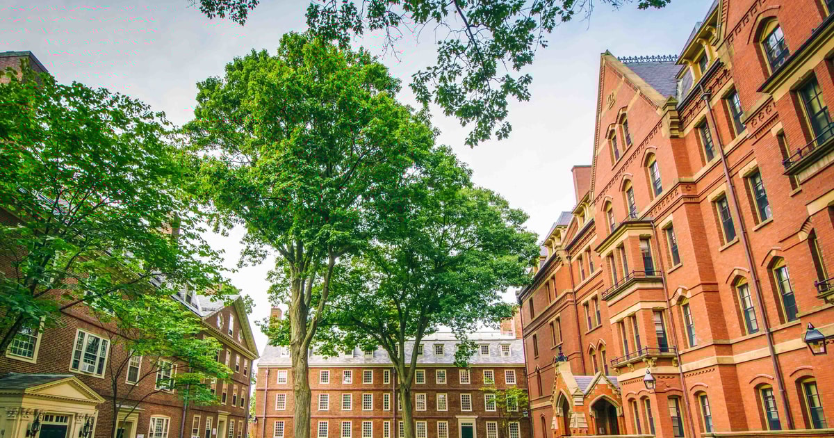 Cambridge, Massachusetts 2020: Top 10 Tours & Activities (with Photos ...