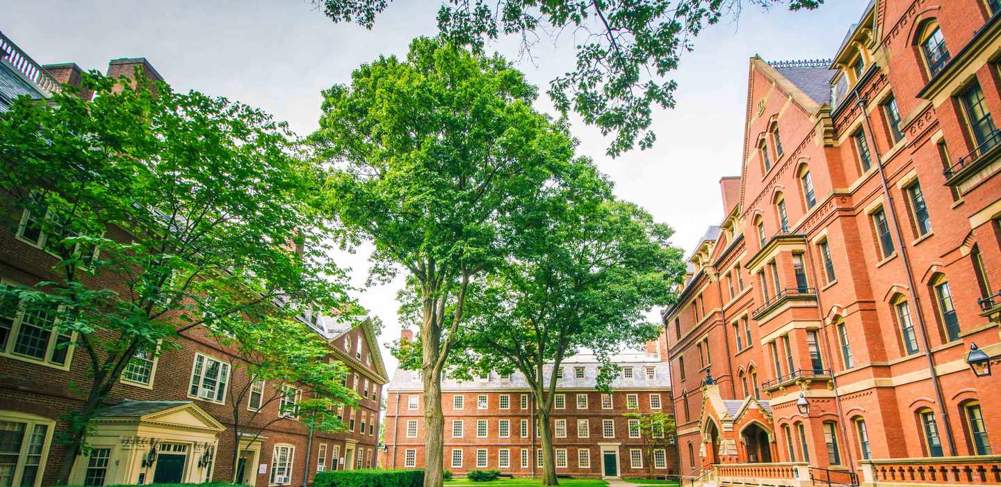 The BEST Cambridge, Massachusetts Culture & history 2023 - FREE ...